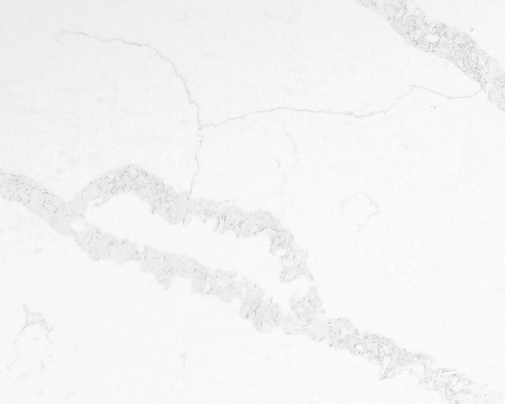 Venus White Quartz Slabs (YMQ230) - quartz countertops - Yomi Stone